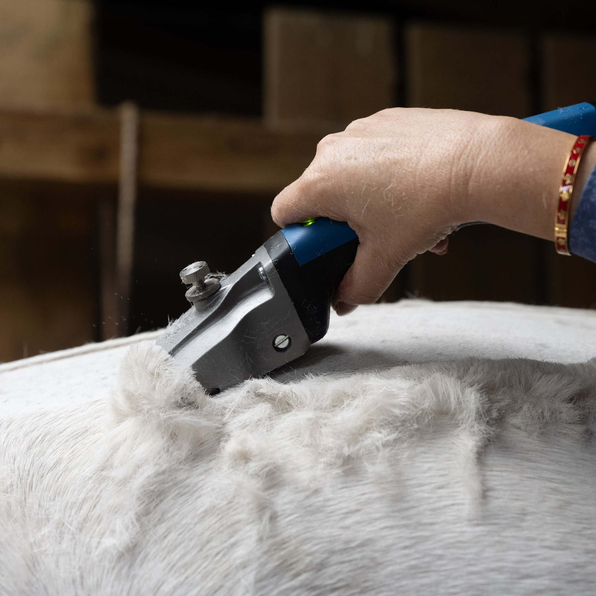 The Best Horse Clippers for Horses and Ponies with Cushings ...