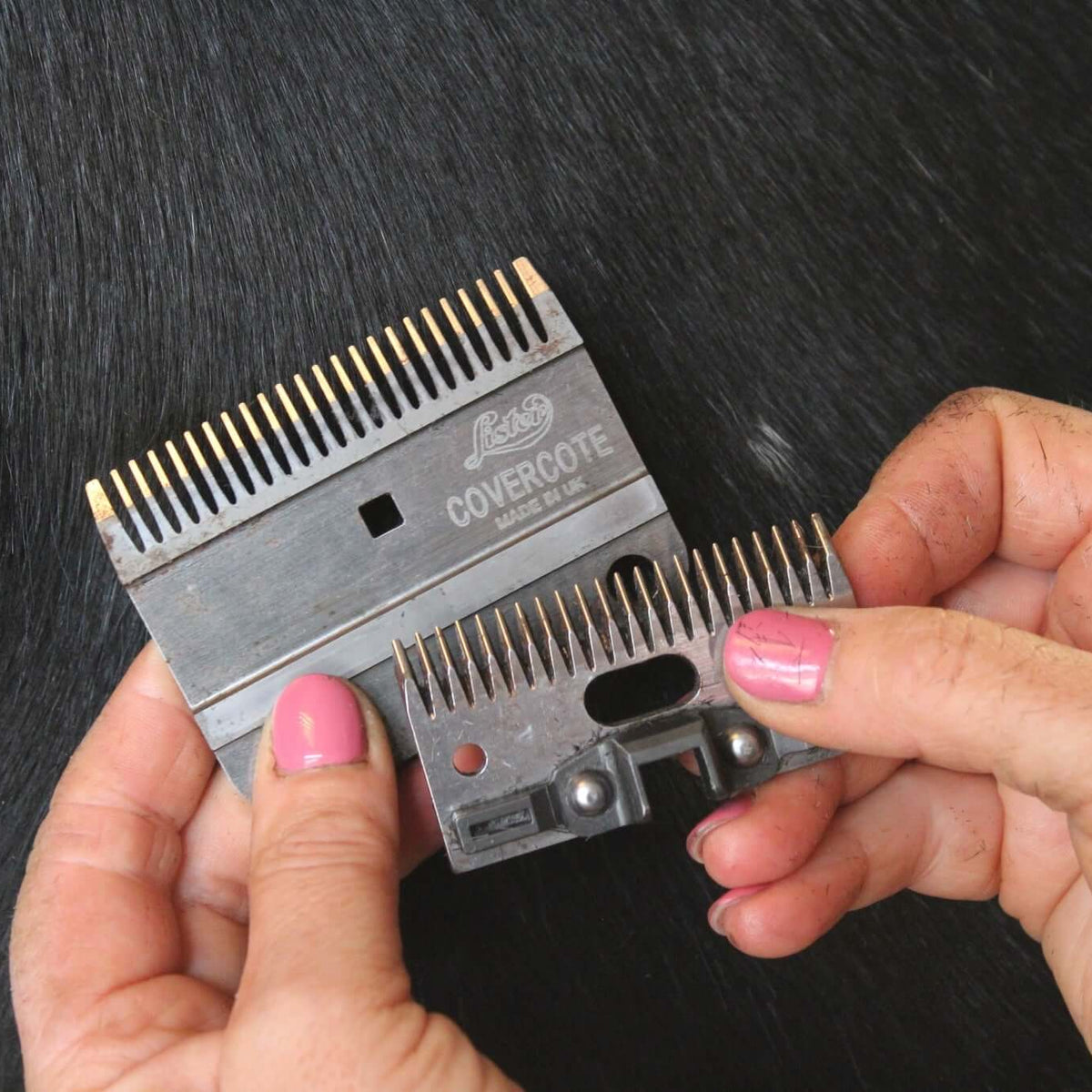 Specialist clipper blades – Clippersharp Ltd