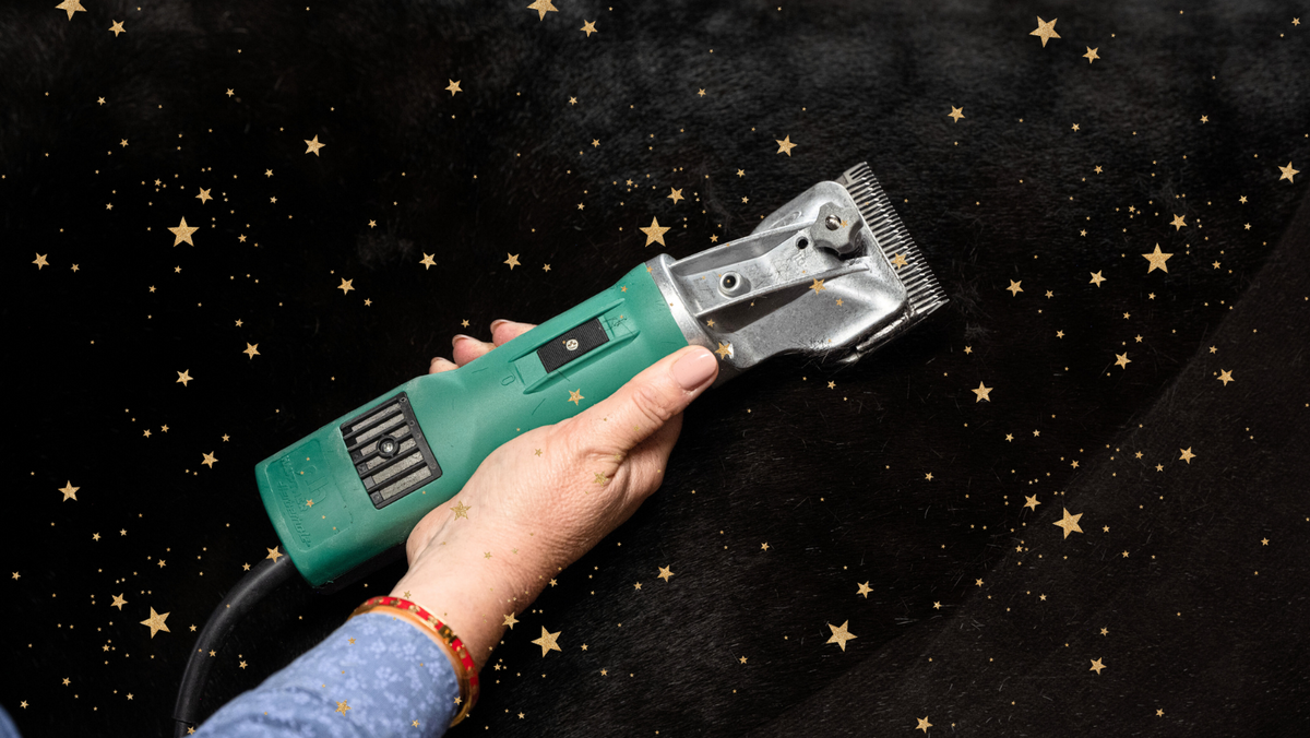 Clippers For Christmas – Clippersharp Ltd