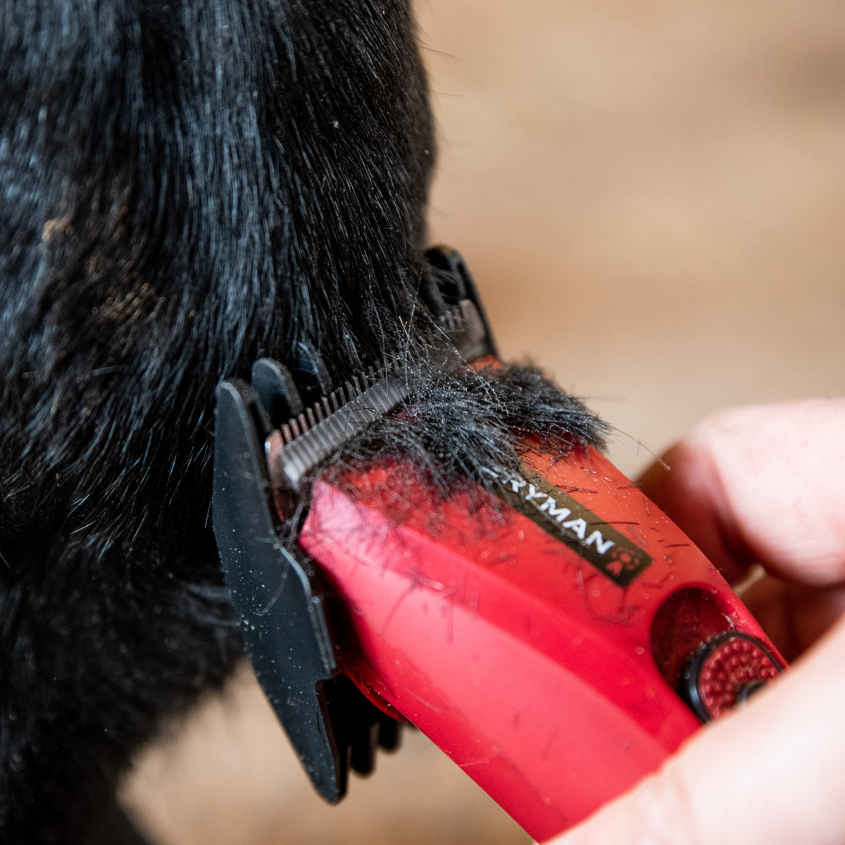 Clipper and Trimmer Blade Combs & Guards | For Dogs and Horses ...