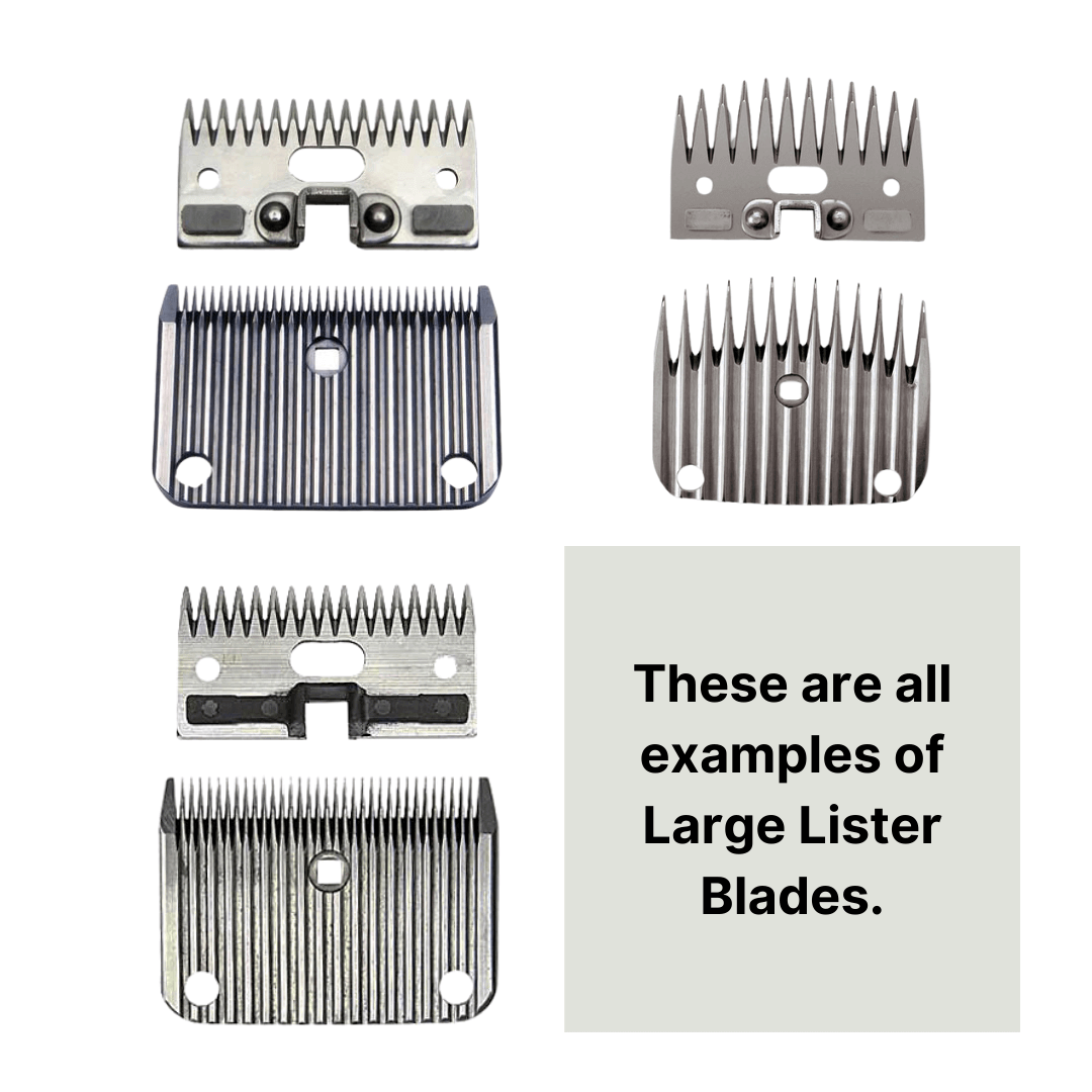 Clipper & Trimmer Blade Sharpening | Lister, Liveryman & Other Brands ...