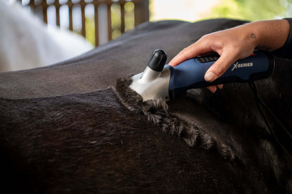 Clippersharp | Clippers, Trimmers, & Grooming Tools for Horses & Dogs ...
